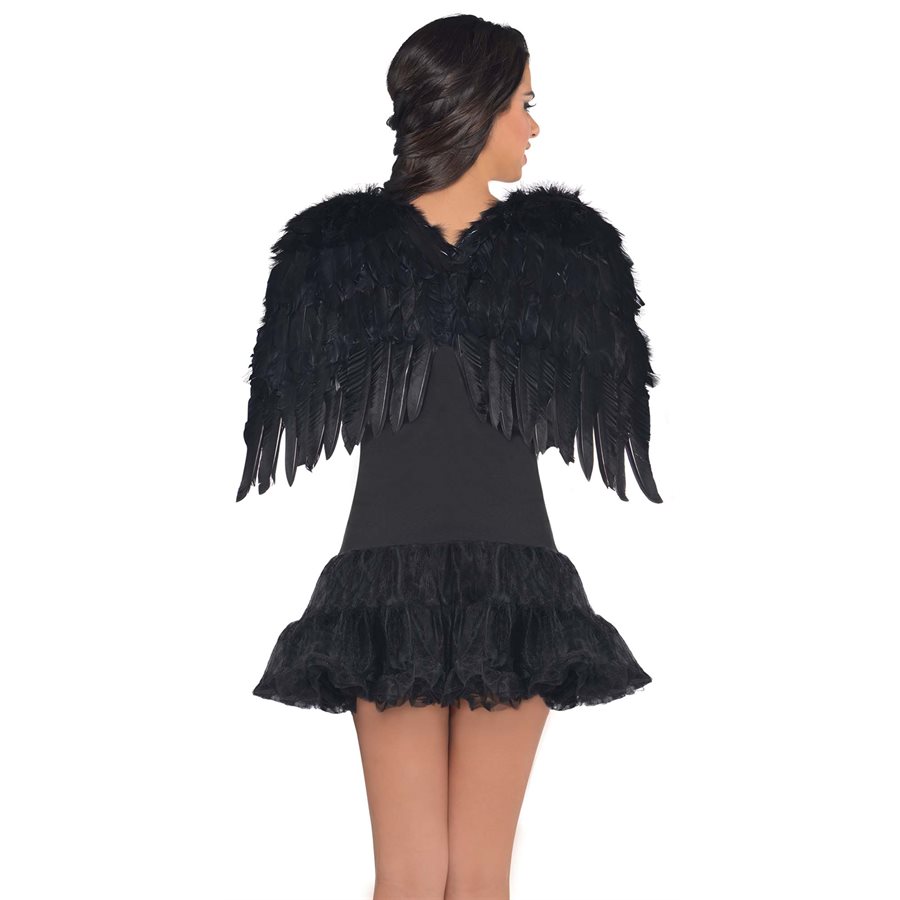 Black feather wings 16x22in
